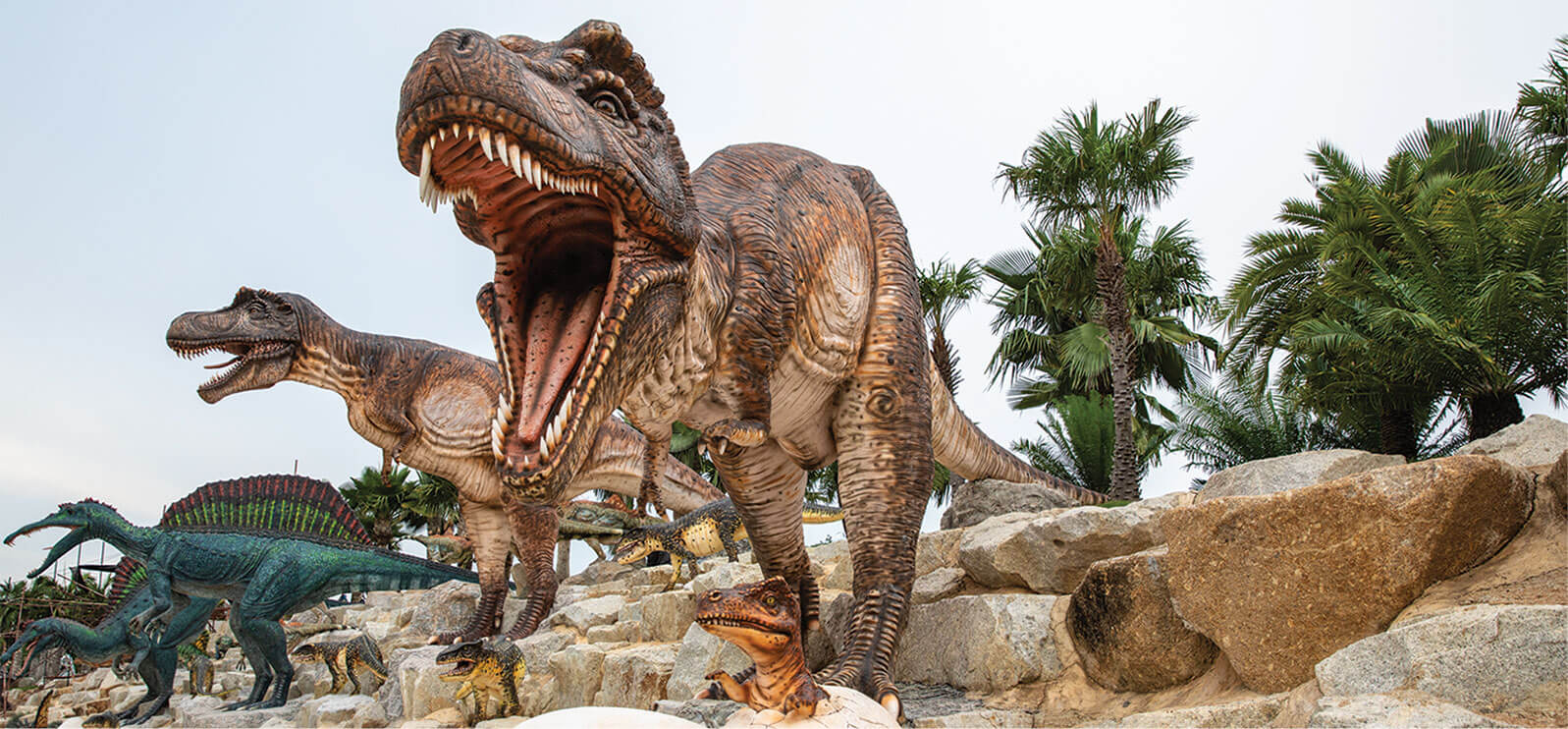 Projects - Mann Brothers